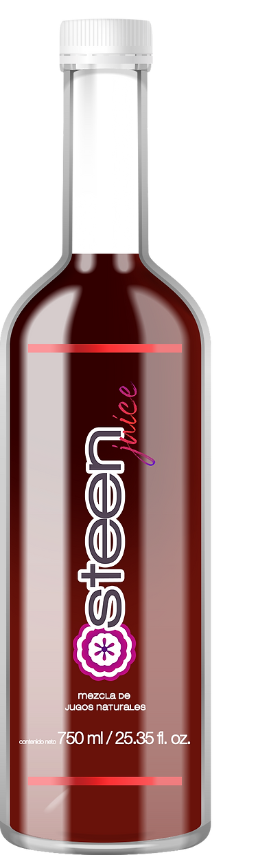 4x Steen 750 ml | Mangostán 100% natural